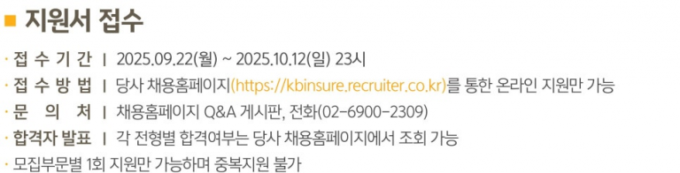 [2025 KB손해보험 채용] 하반기 자소서 항목, 문항별 작성팁 총정리 - HAIJOB
